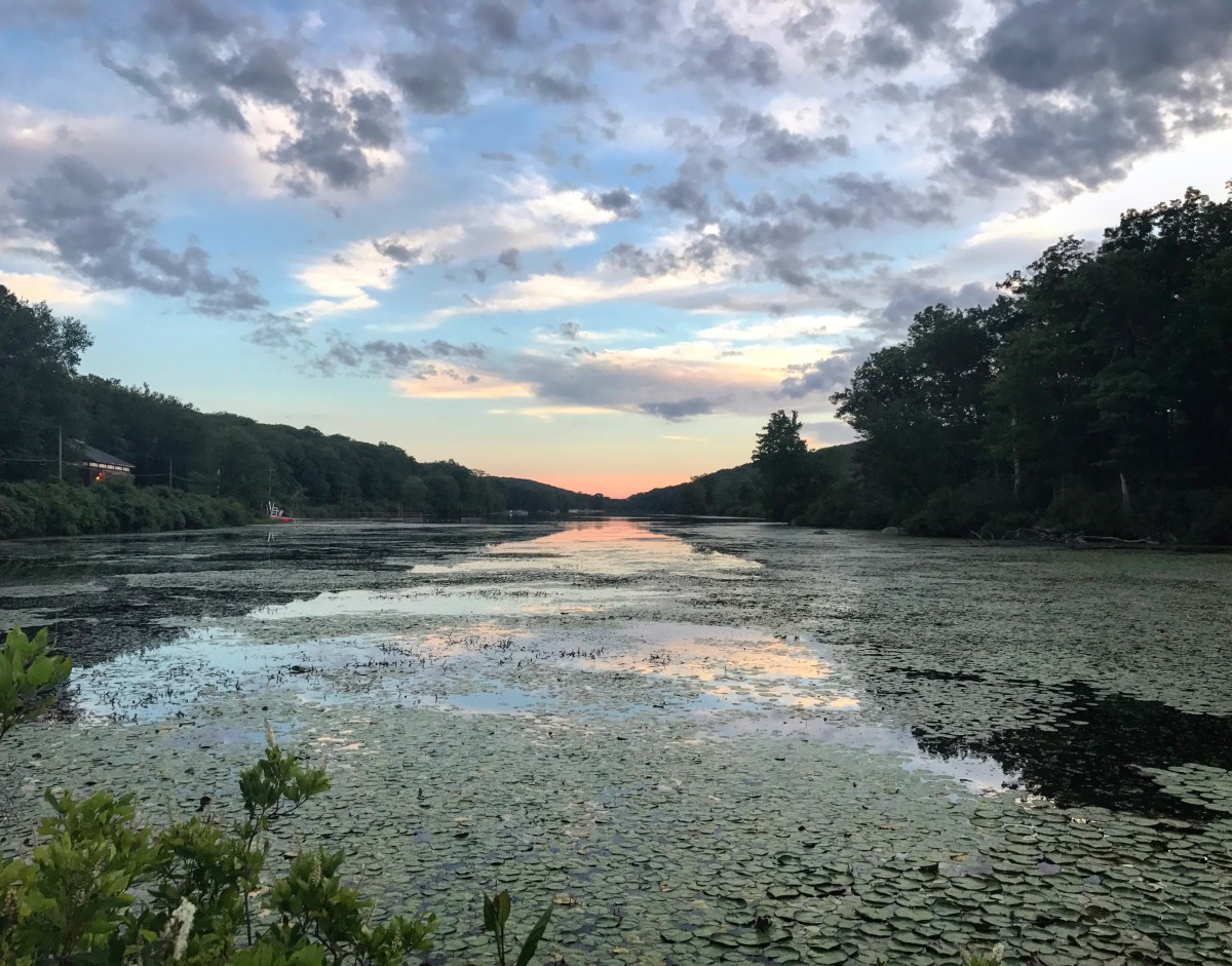 Photos – Conor Clark